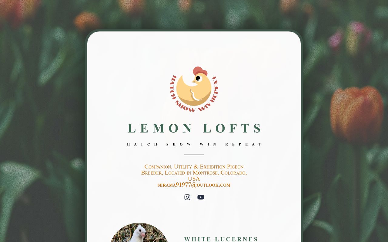 Lemon Lofts